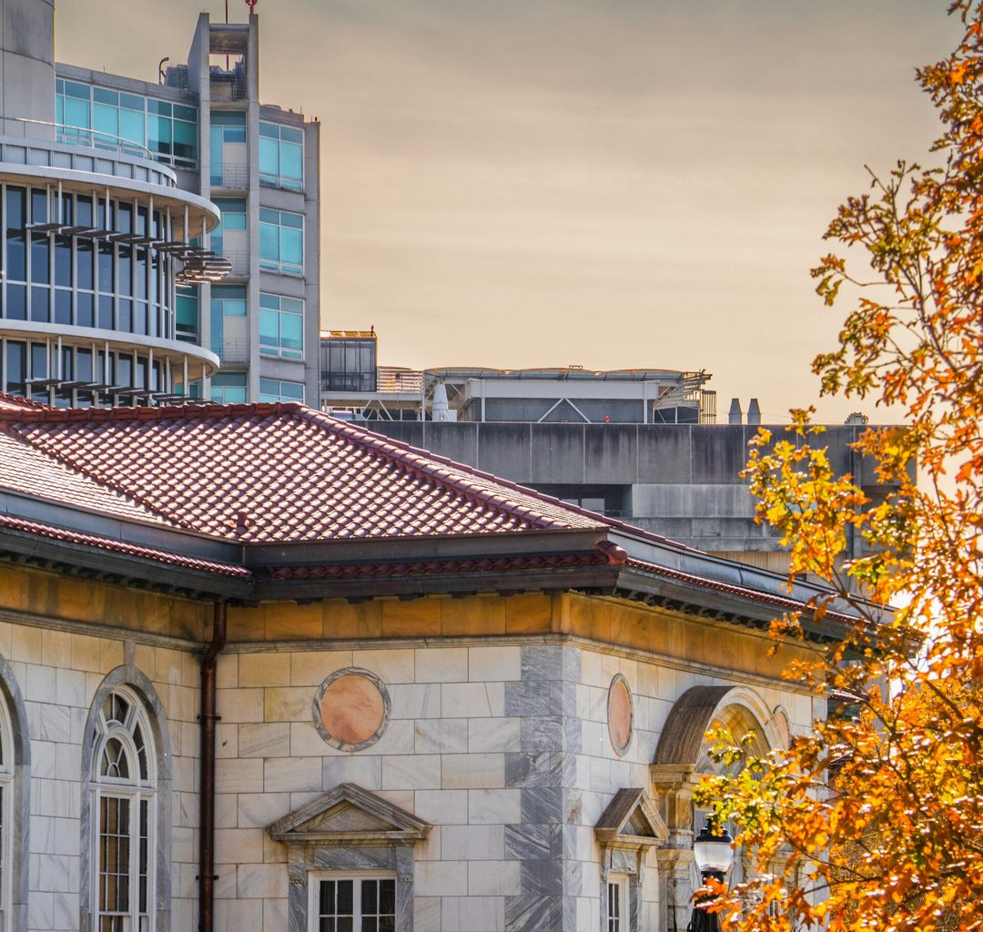 Premed Catalyst Blog: Go From Premed to MD